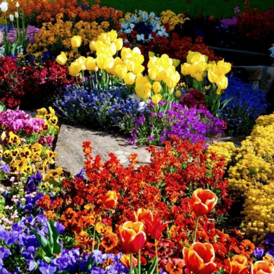 EGPL Plants Demonstration